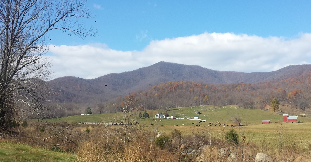 Weekend in the Virginia Countryside and Old Family Recipe | goodmotherdiet