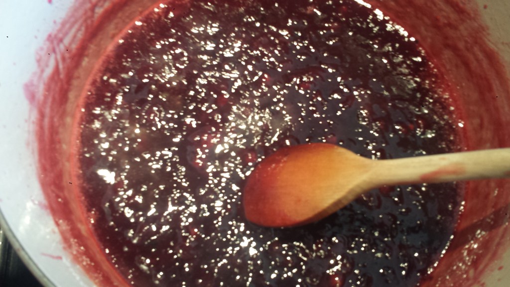 Homemade Plum Jam & Canning Tips | goodmotherdiet