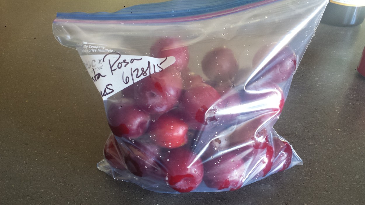 Homemade Plum Jam & Canning Tips | goodmotherdiet