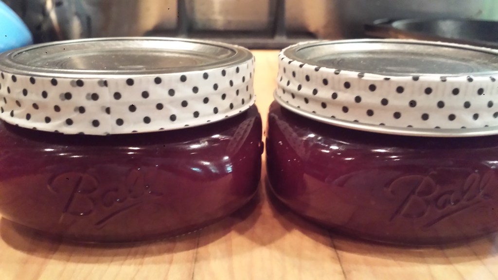 Homemade Plum Jam & Canning Tips | goodmotherdiet